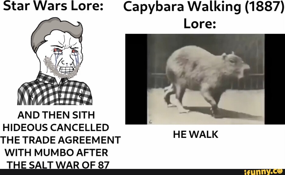 Star Wars Capybara Walking (1887) Lore: AND THEN SITH HIDEOUS CANCELLED ...