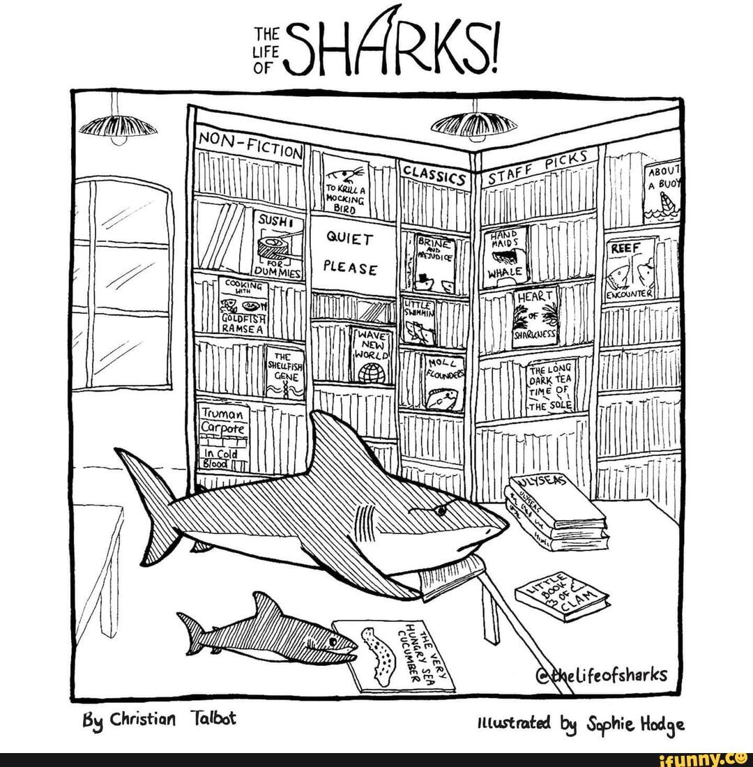 SHARKS! RAMSE A By HEART TIME OF THe SOLEI - iFunny