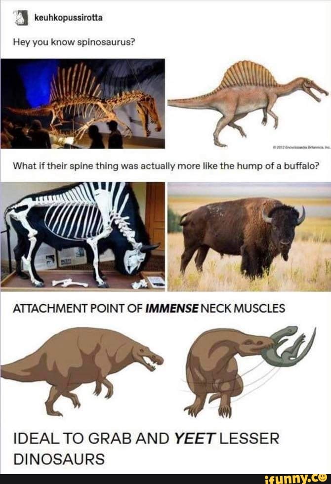 Keuhkopussirotta Hey you know spinosaurus? ATTACHMENT POINT OF IMMENSE ...