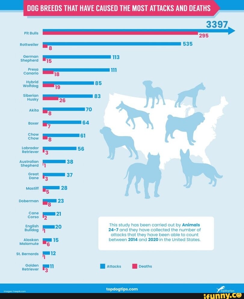 DOG BREEDS THAT HAVE CAUSED THE MOST ATTACKS AND DEATHS 3397 295 ...