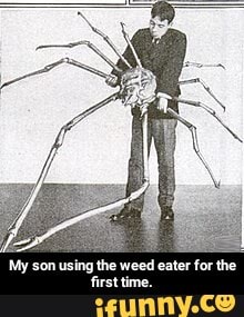 My son using the weed eater for the first time. - My son using the weed ...