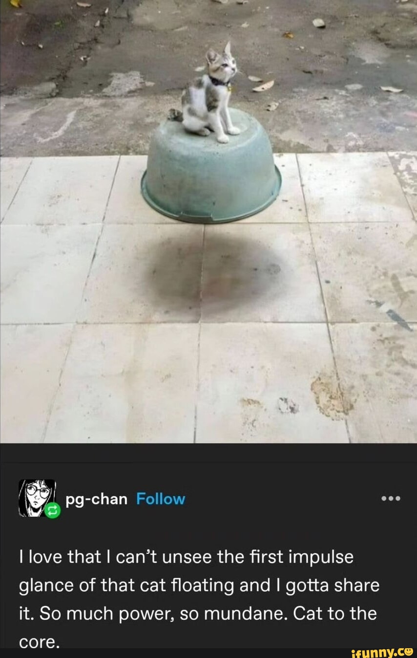 Mundane memes. Best Collection of funny Mundane pictures on iFunny