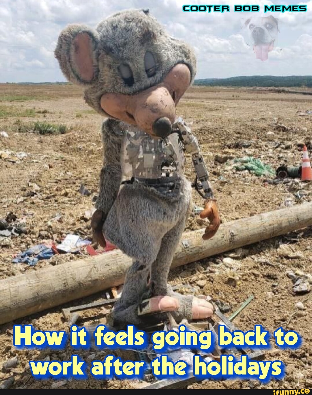 COOTER BOB MEMES ow it feels going back - iFunny