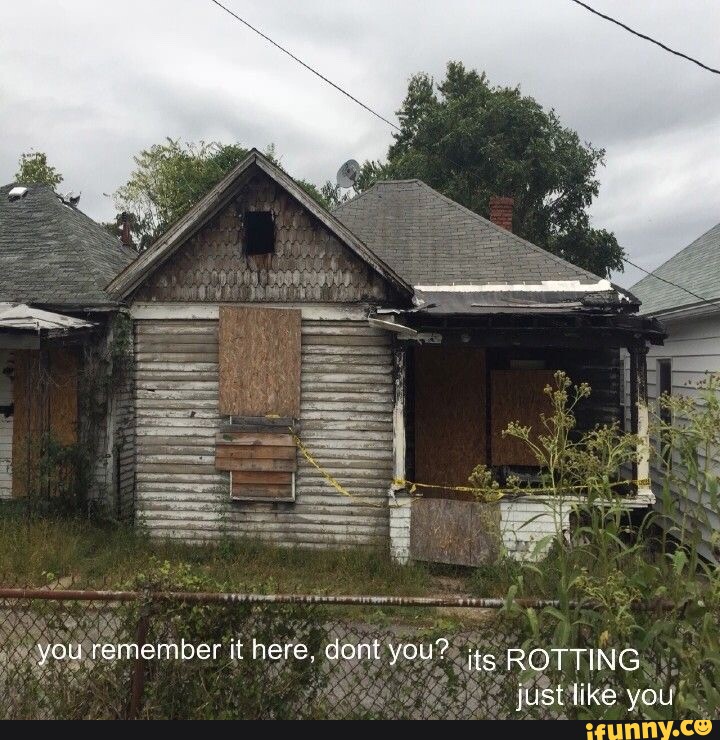 You remember it here, dont you? its ROTTING just like you - iFunny