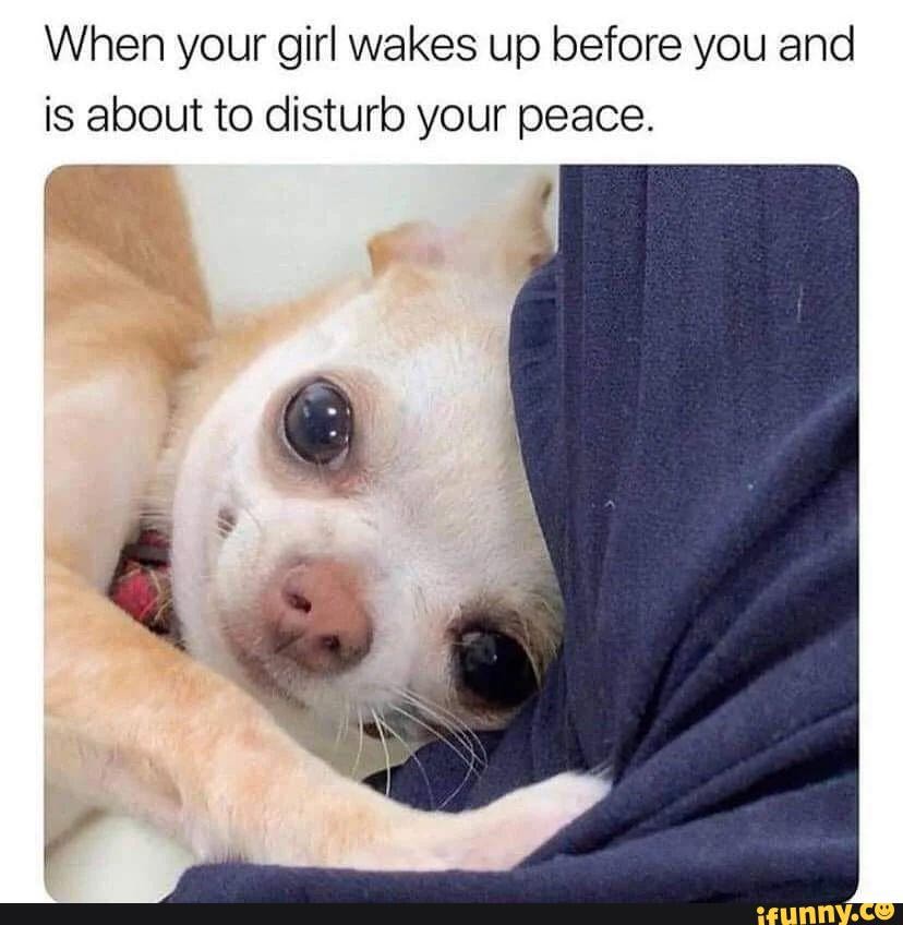 Omg 😂 Follow @fkboyhumor for everyday memes! . . #memes #meme # ...