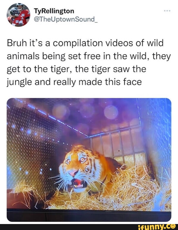 Saw memes. Best Collection of funny Saw pictures on iFunny