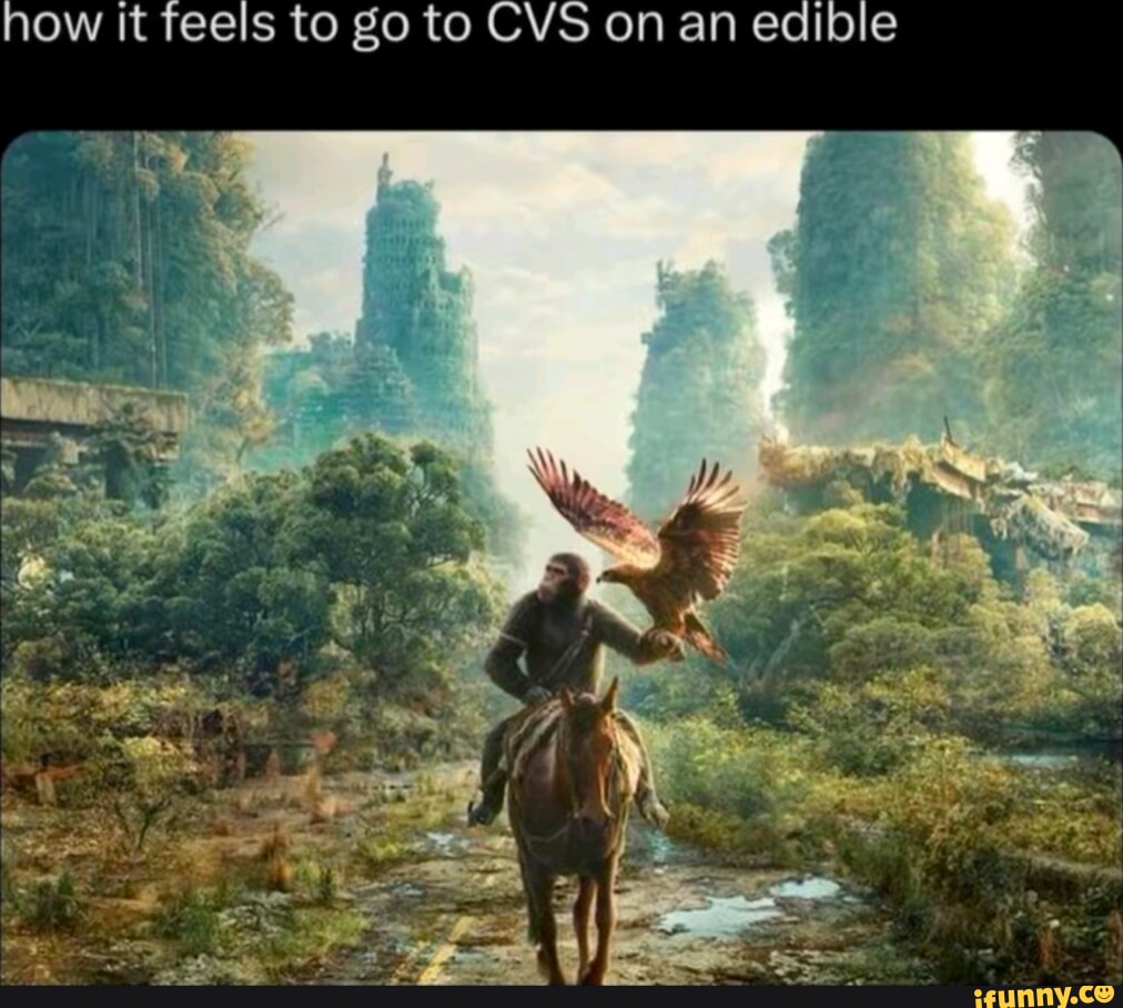 Cvs memes. Best Collection of funny Cvs pictures on iFunny