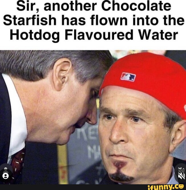 Ir, another Chocolate Starfish has flown into the Hotdog Flavoured Water - iFunny