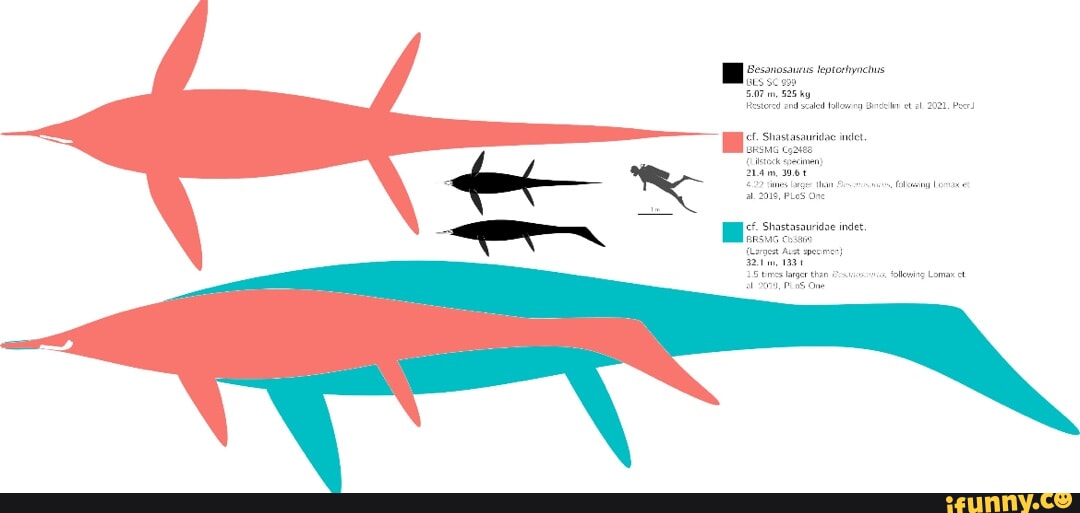 Ichthyosaur memes. Best Collection of funny Ichthyosaur pictures on iFunny