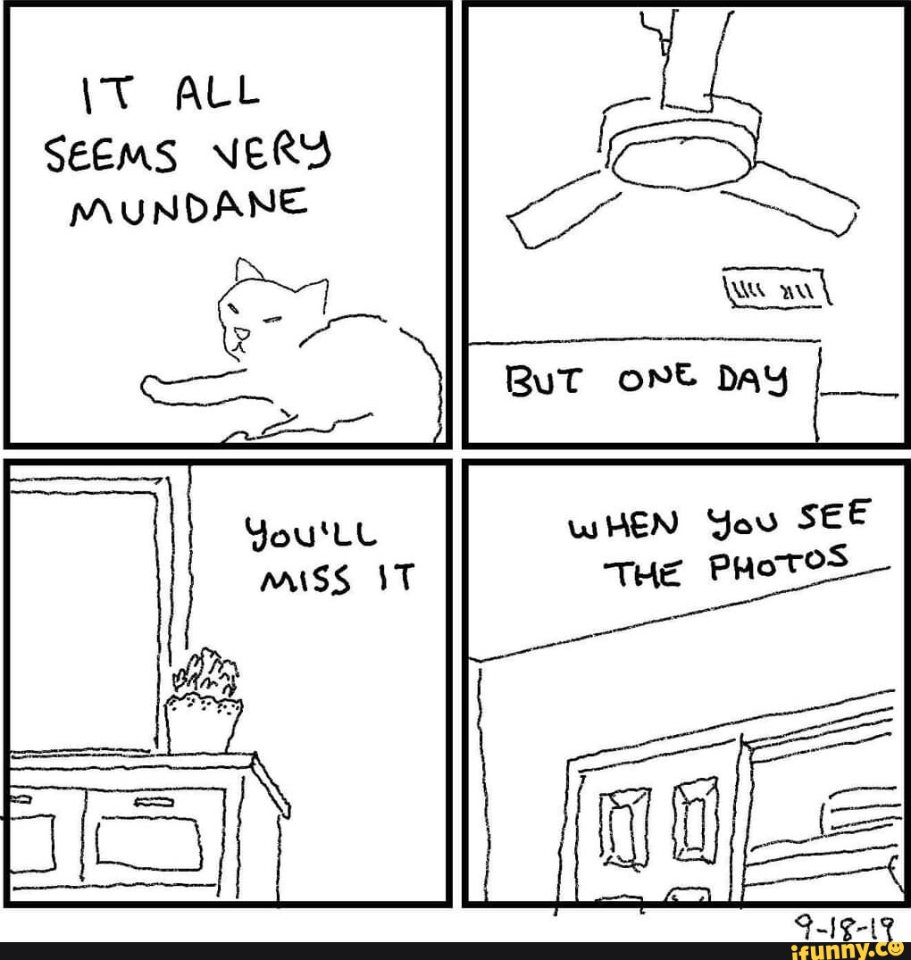 LL \T ALL Seems VERY MUNDANE BuT ont DAY WHEN You SEE You'LL MISS IT ...