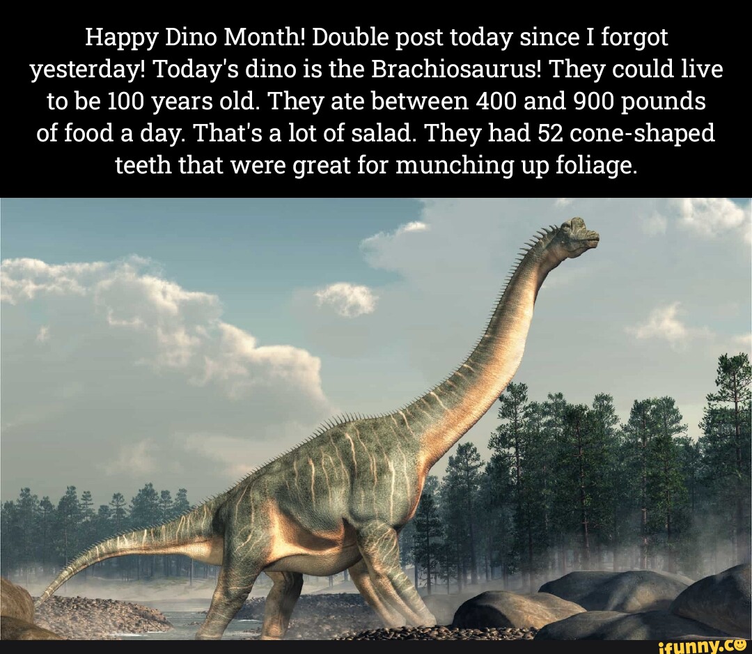 Brachiosaurus memes. Best Collection of funny Brachiosaurus pictures on ...