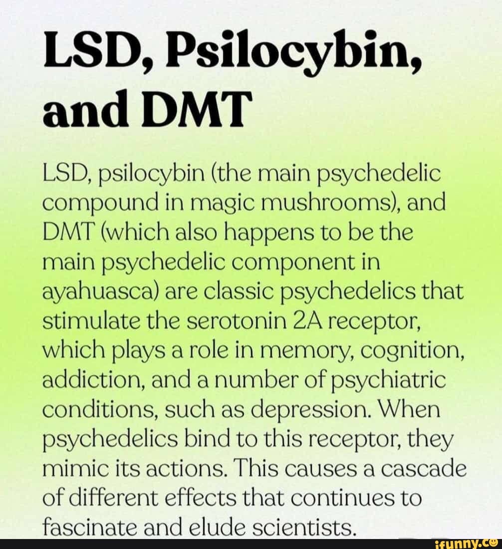 LSD, Psilocybin, and DMT LSD, psilocybin (the main psychedelic compound ...