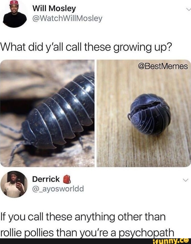 Mosley memes. Best Collection of funny Mosley pictures on iFunny