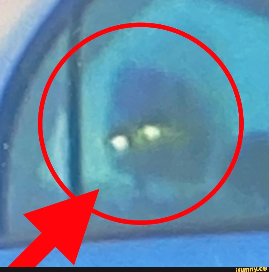 Cryptid memes. Best Collection of funny Cryptid pictures on iFunny