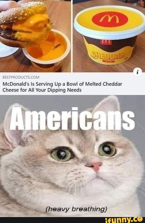 Wier memes. Best Collection of funny Wier pictures on iFunny