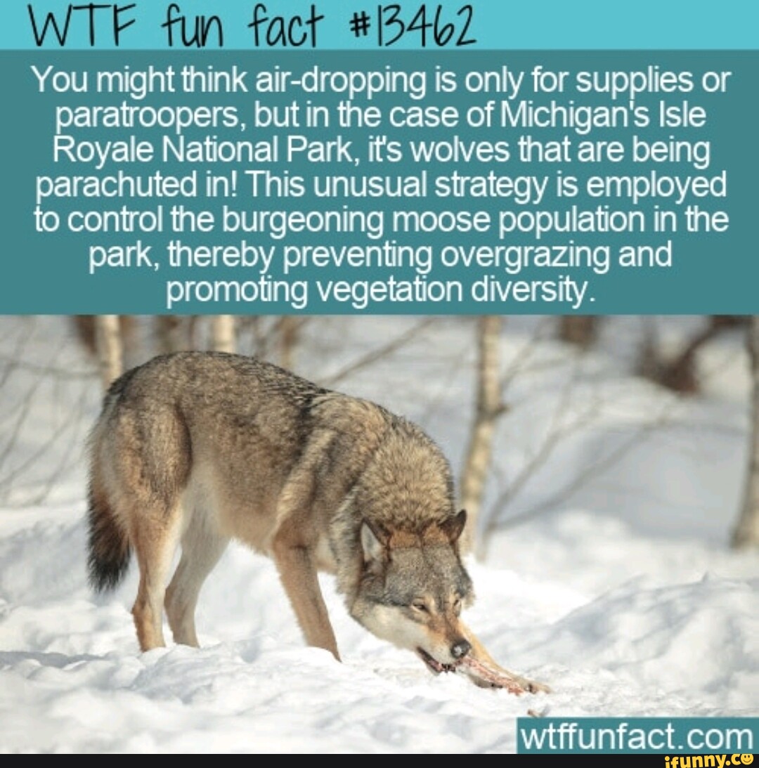 Fun You might think air-dropping is only for supplies or paratroopers ...