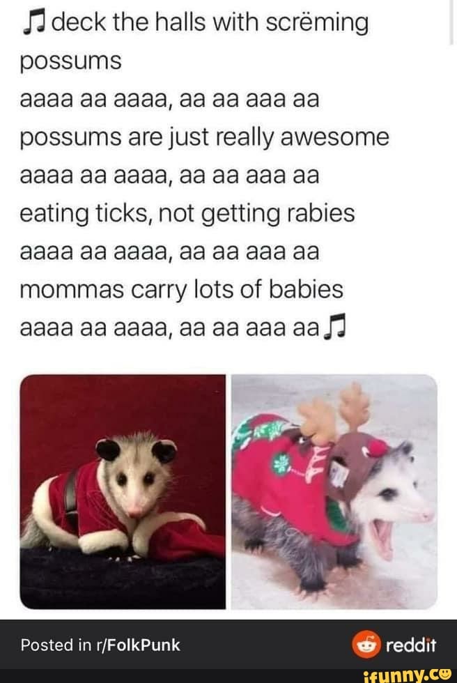 Deck the halls with screming possums aaaa aa aaaa, aa aa aaa aa possums ...
