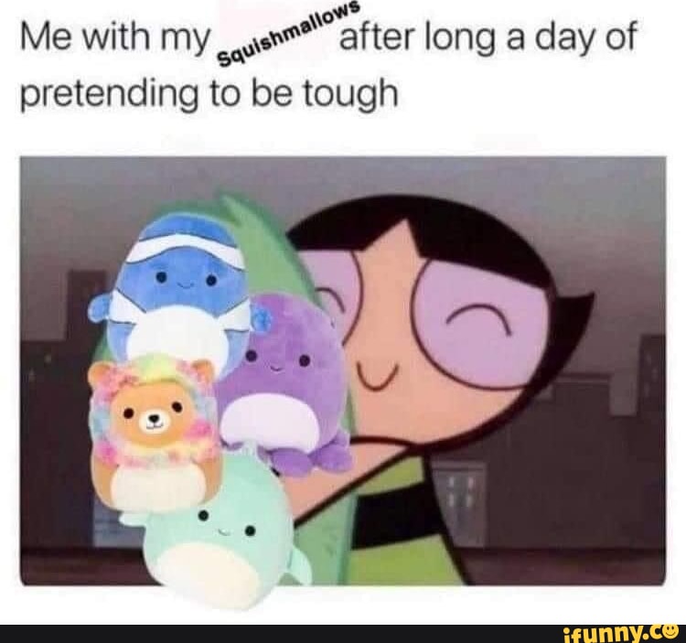 Squishmallow memes. Best Collection of funny Squishmallow pictures on ...