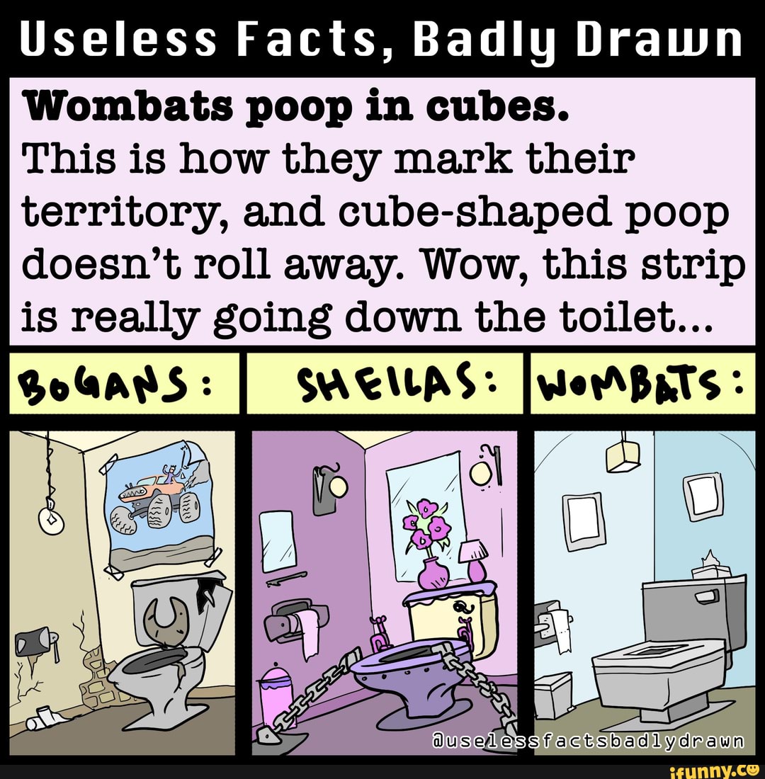 Bonus fact: it's not entirely clear HOW wombats create perfectly cube ...