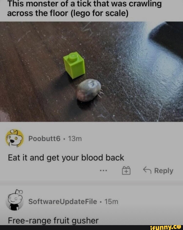 This monster of a tick that was crawling across the floor (lego for ...