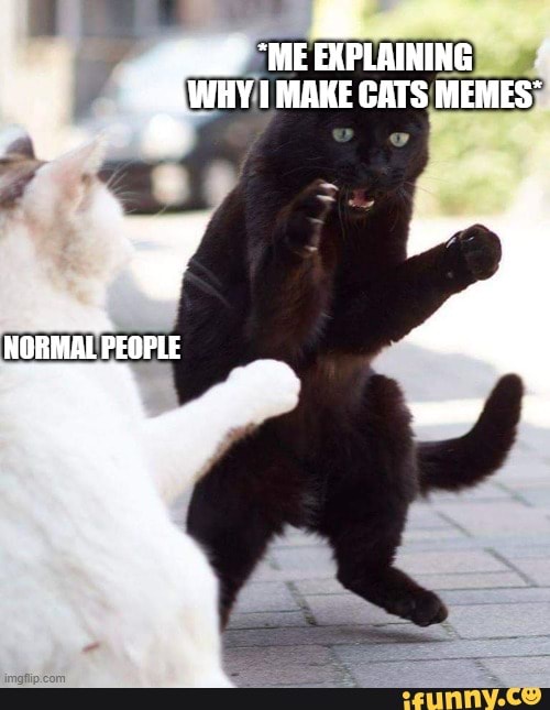 "ME EXPLAINING ' WHY MAKE GATS MEMES" - iFunny