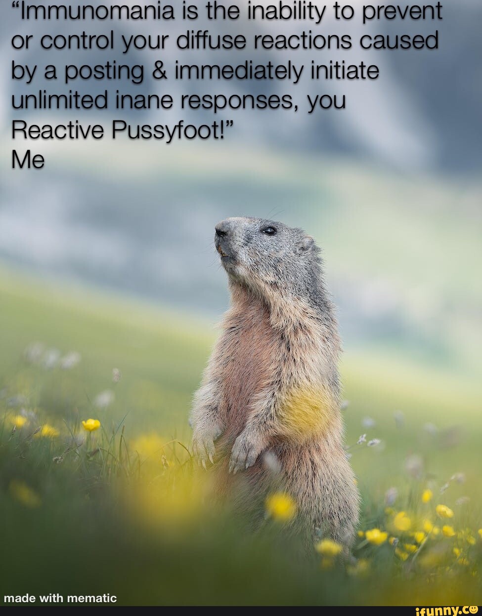 Diffuse memes. Best Collection of funny Diffuse pictures on iFunny