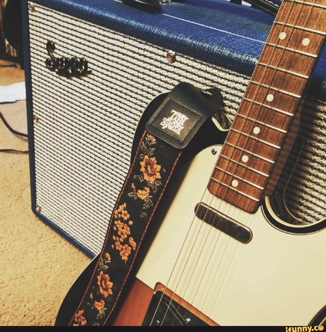 Telecaster memes. Best Collection of funny Telecaster pictures on iFunny