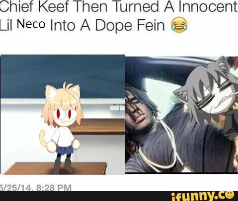 Fein memes. Best Collection of funny Fein pictures on iFunny