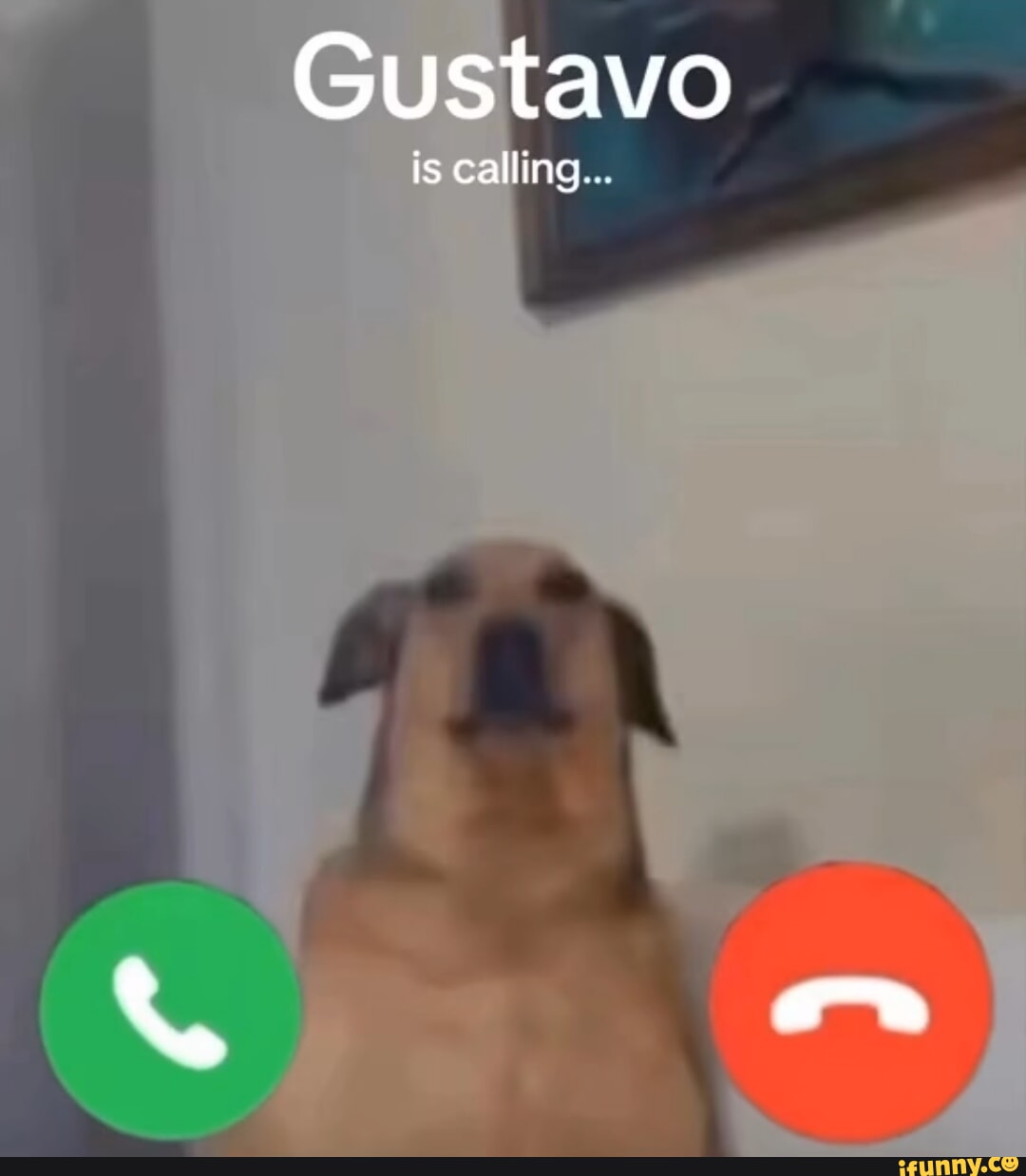Gustavo is calling. - iFunny