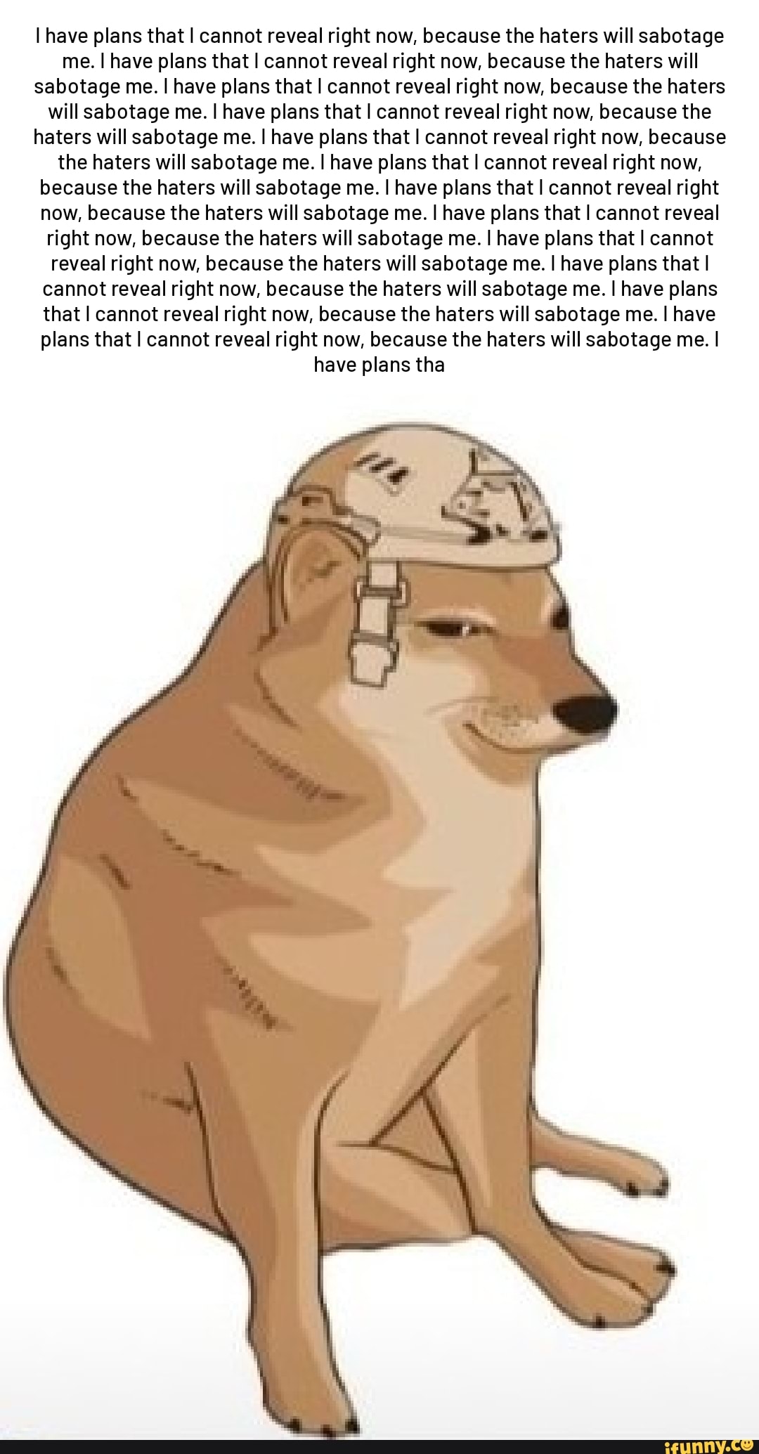 Have plans that cannot reveal right now, because the haters will ...