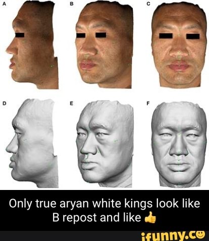 Only true aryan white kings look like B repost and like es - iFunny