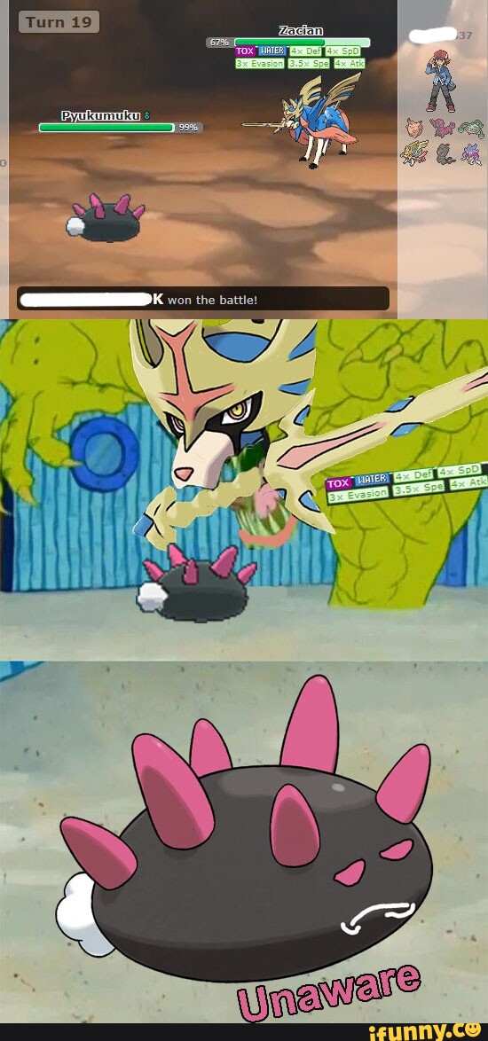 Pyukumuku memes. Best Collection of funny Pyukumuku pictures on iFunny