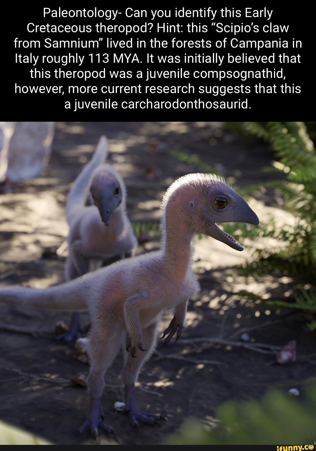 Paleontology- Can you identify this Early Cretaceous theropod? Hint ...