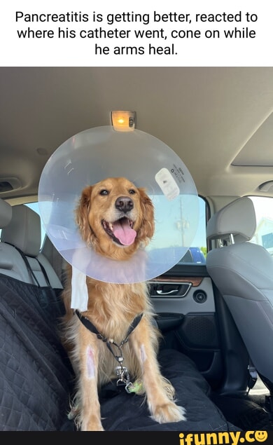 Catheter memes. Best Collection of funny Catheter pictures on iFunny