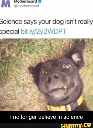 M Motherboard Science says your dog isn't really special bit I no ...