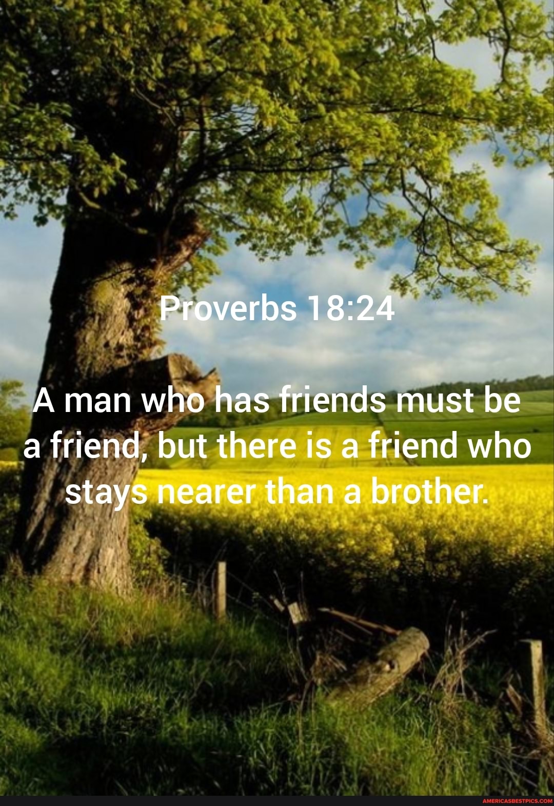 Proverbs A man who has friends must be a friend, 'but but there is a ...