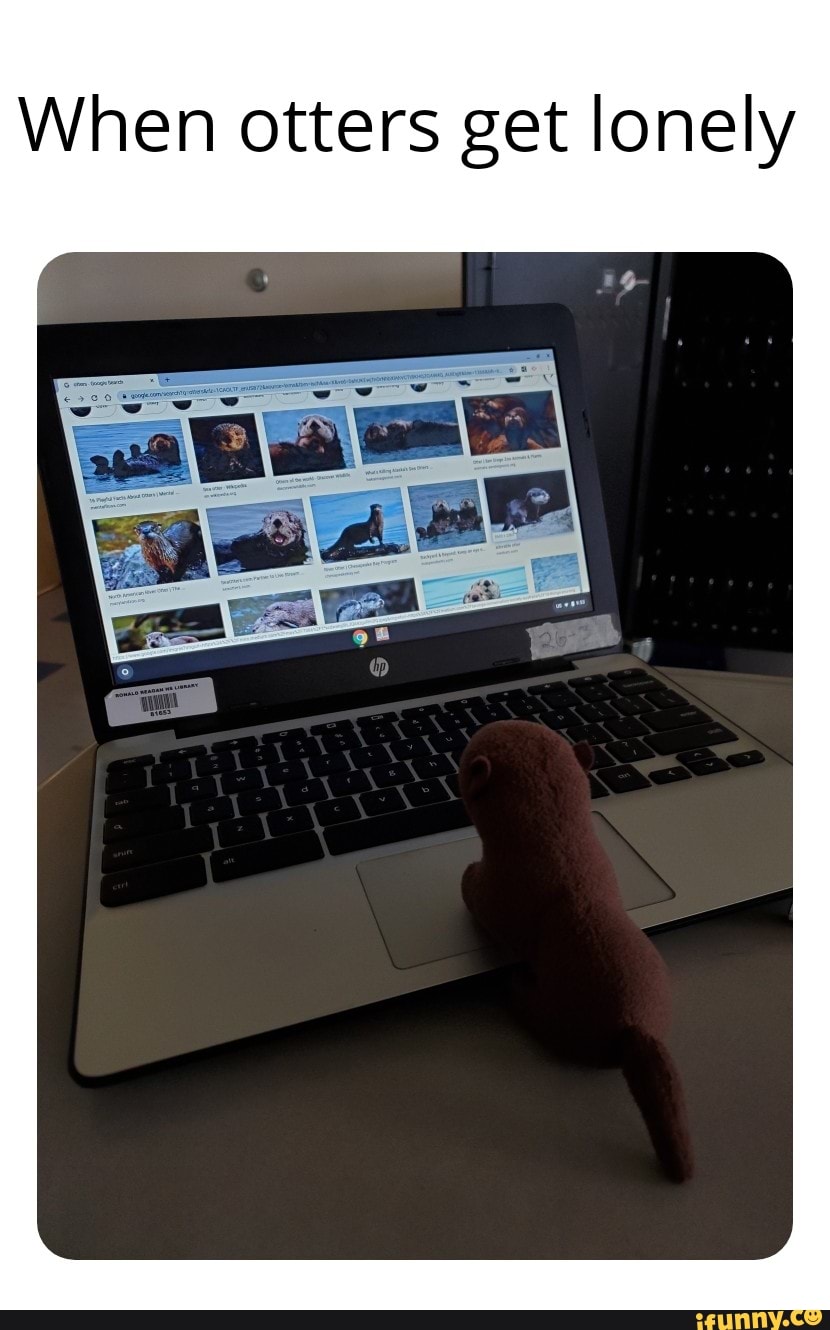 Memes_made_by_kam memes. Best Collection of funny Memes_made_by_kam ...