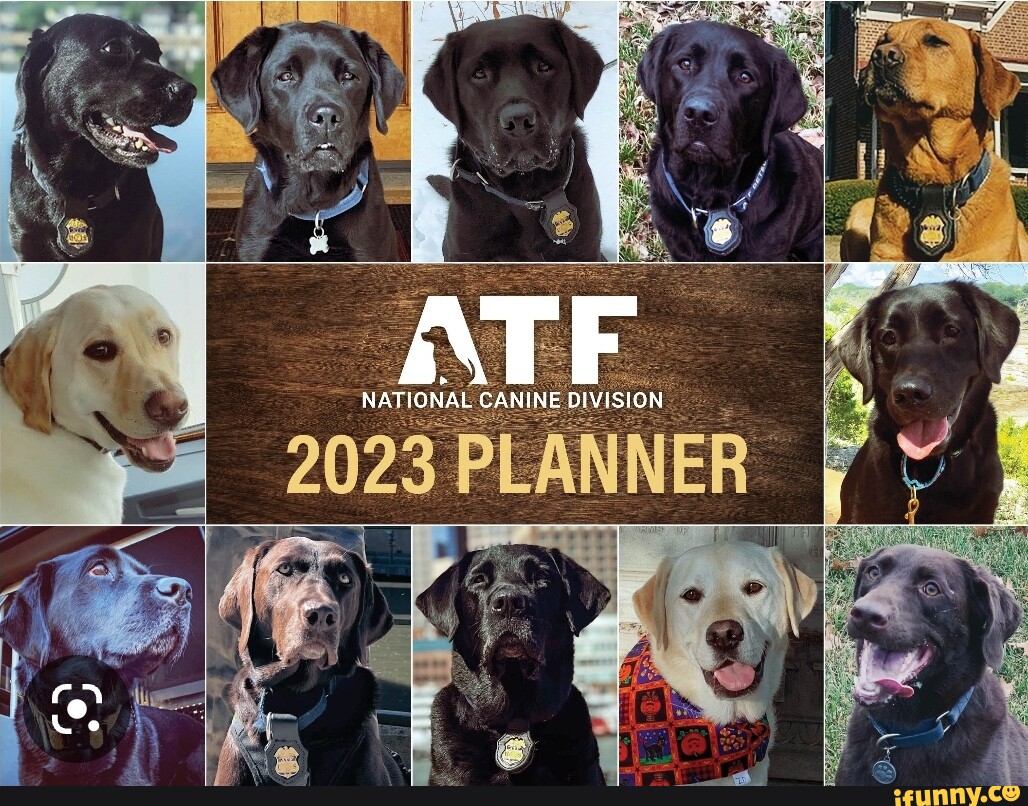 ATF NATIONAL CANINE DIVISION - iFunny