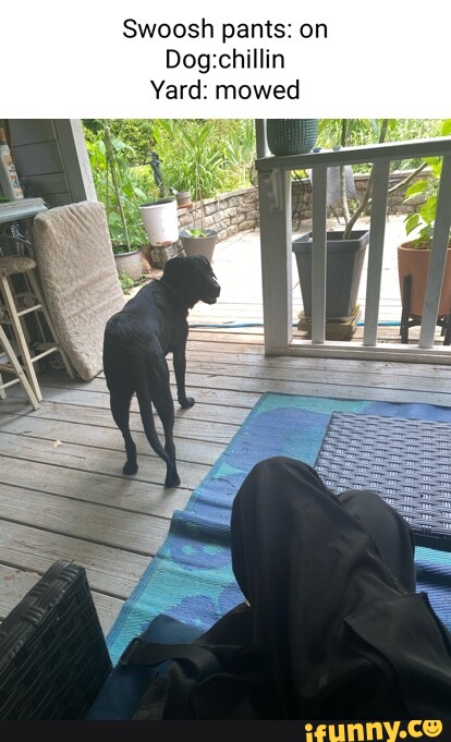 Swoosh memes. Best Collection of funny Swoosh pictures on iFunny