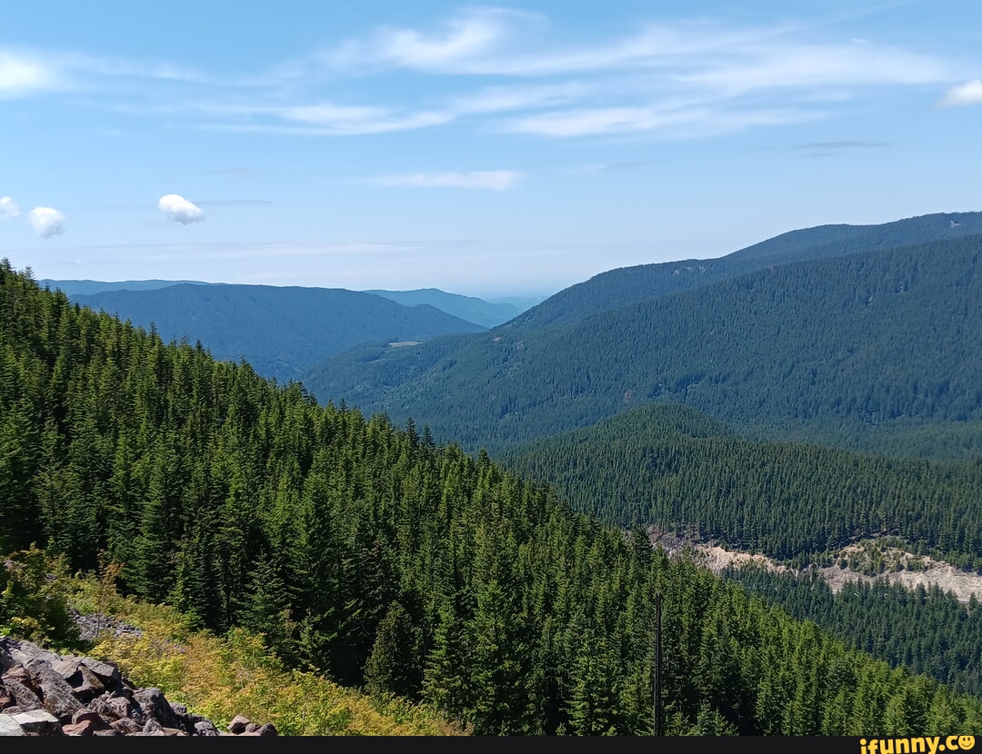 Ggjg memes. Best Collection of funny Ggjg pictures on iFunny