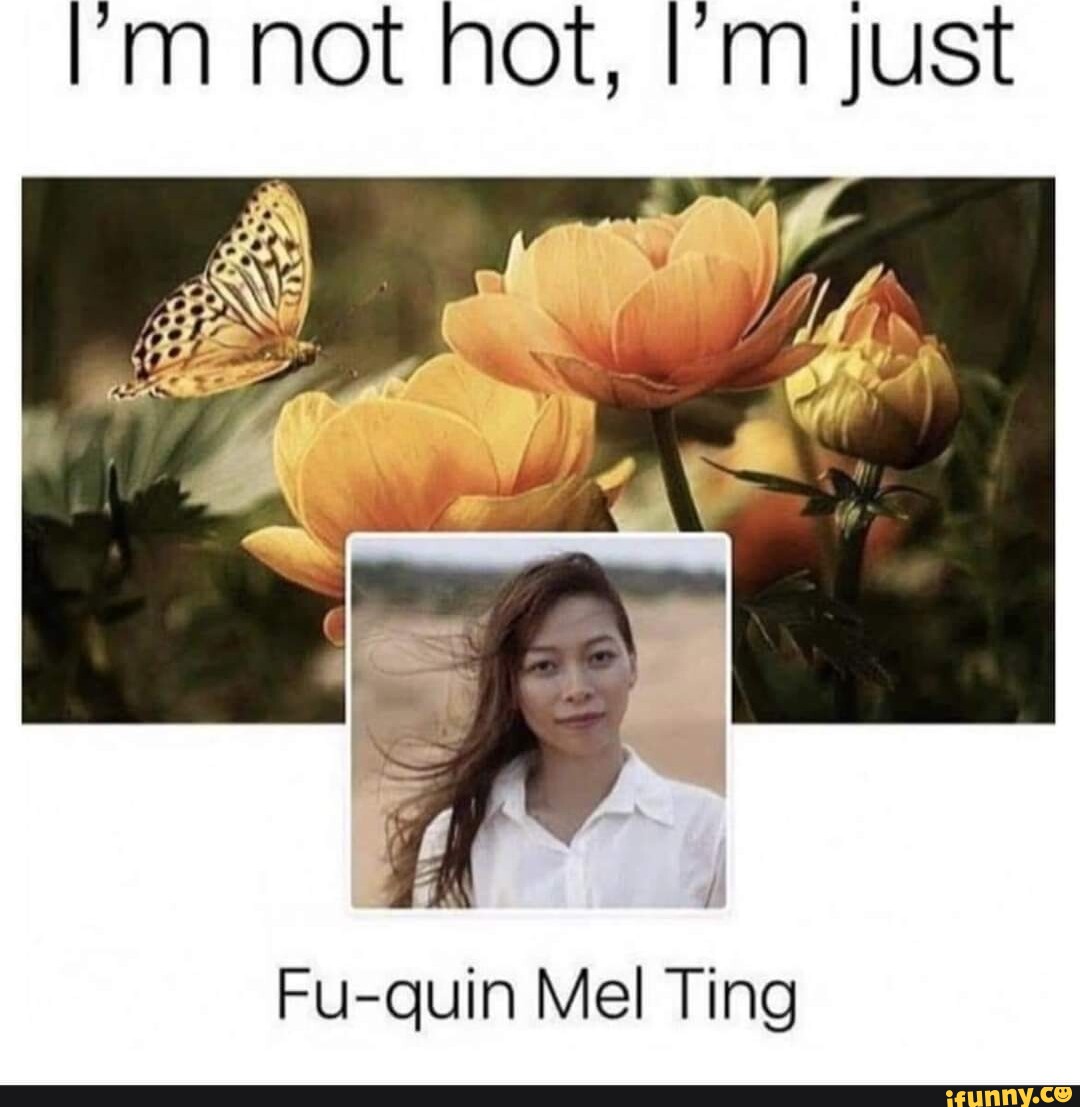 Quin memes. Best Collection of funny Quin pictures on iFunny