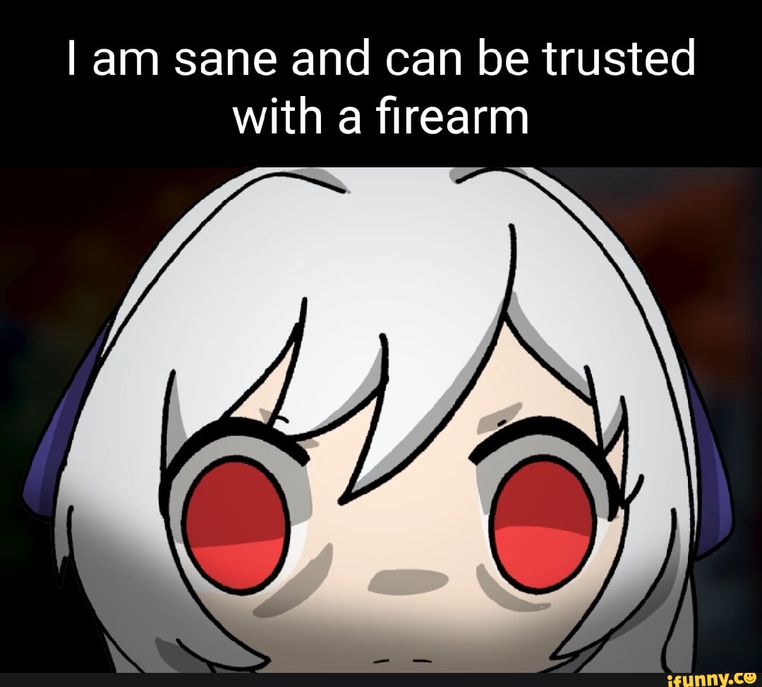 I am sane and can be trusted with a firearm - iFunny
