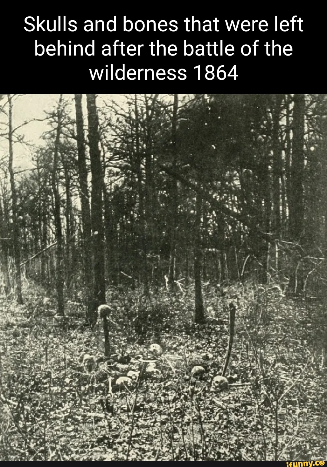 If you are into disturbing shit like these. Please recommend some more ...