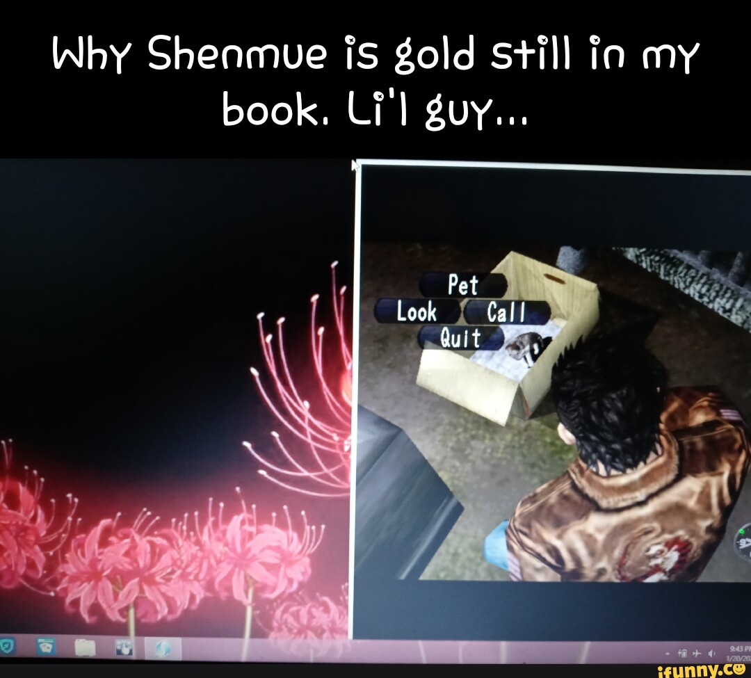 Shenmue memes. Best Collection of funny Shenmue pictures on iFunny