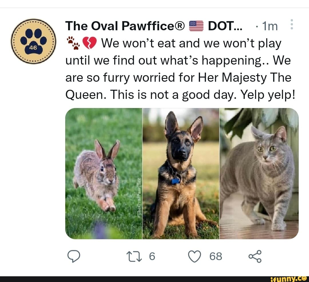 Oval memes. Best Collection of funny Oval pictures on iFunny