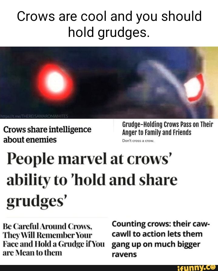 Crows are cool and you should hold grudges. Grudge-Holding Crows Pass ...