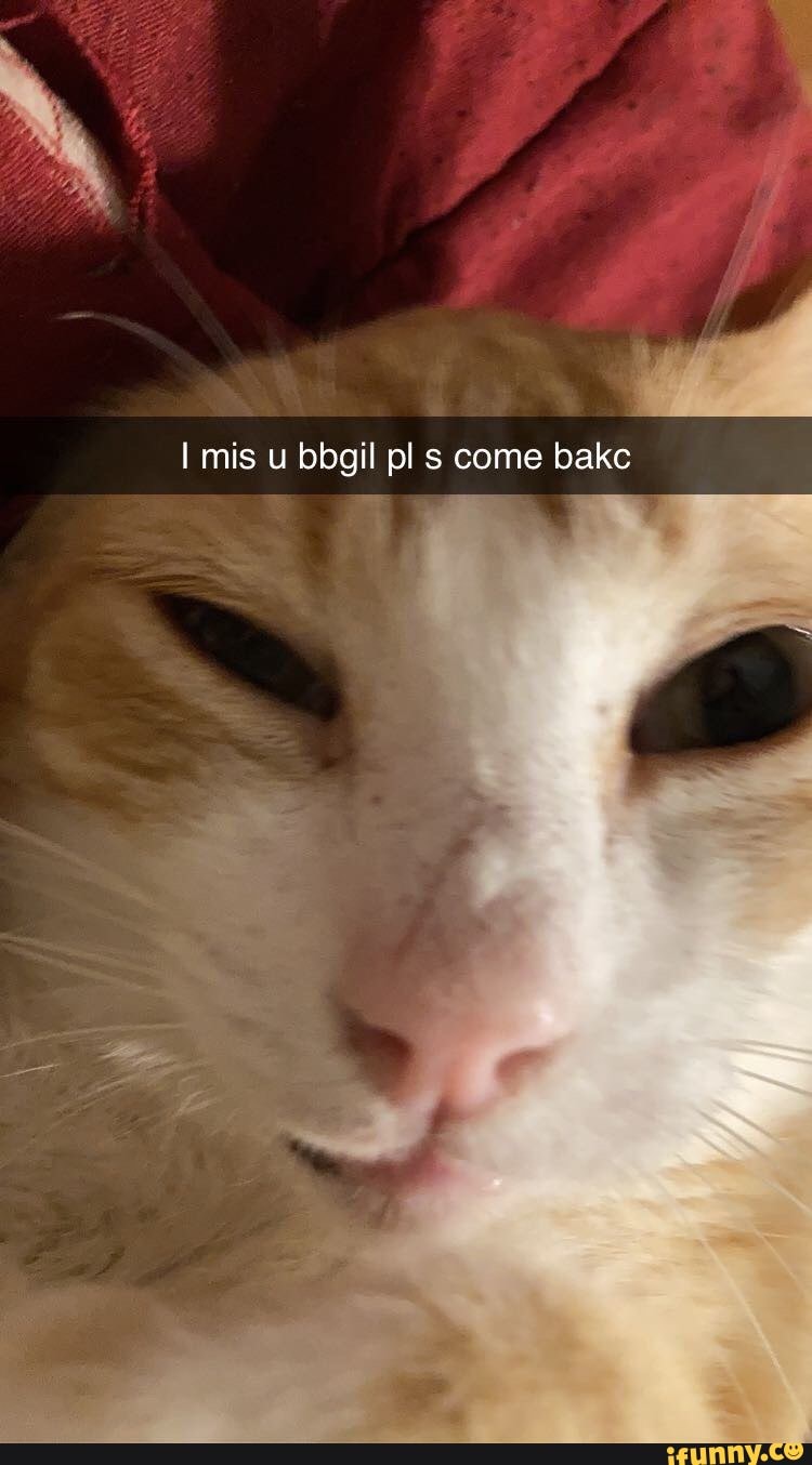 Bakc memes. Best Collection of funny Bakc pictures on iFunny