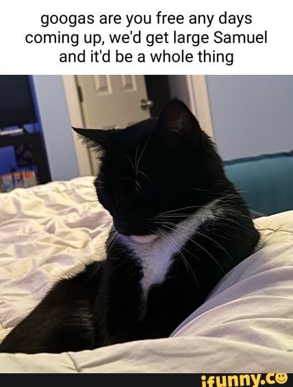 Kirbysuperstarultra memes. Best Collection of funny Kirbysuperstarultra ...