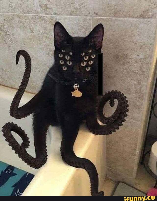 Octocat memes. Best Collection of funny Octocat pictures on iFunny