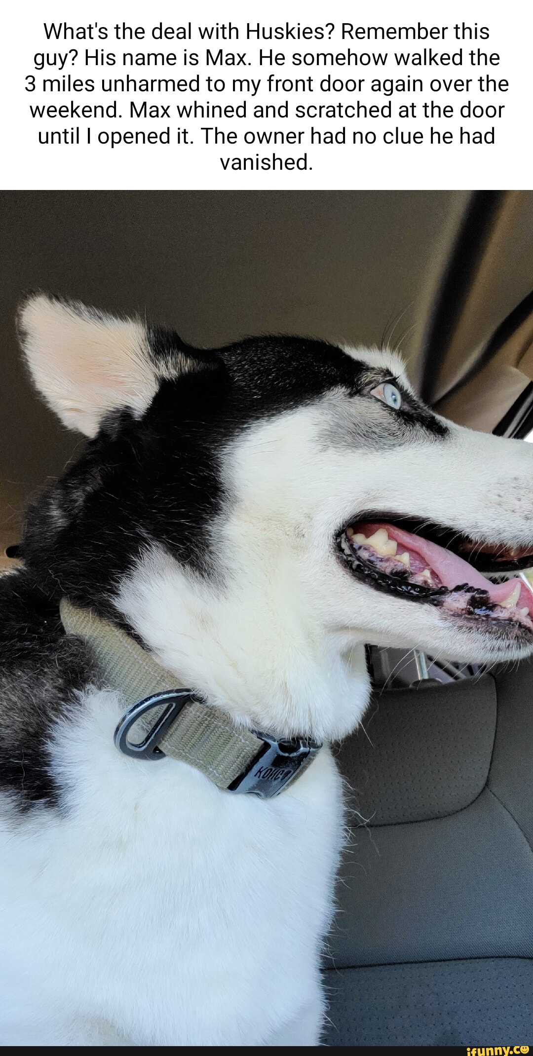 Whined memes. Best Collection of funny Whined pictures on iFunny